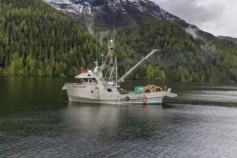 Subsea fibre optic cable laying begins in the Strait of Georgia ...