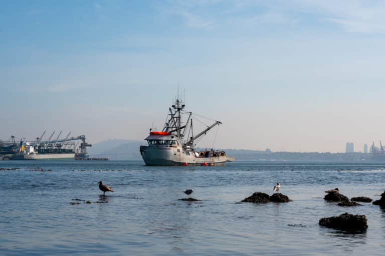 Connected Coast | Bringing High-Speed Internet To Coastal BC